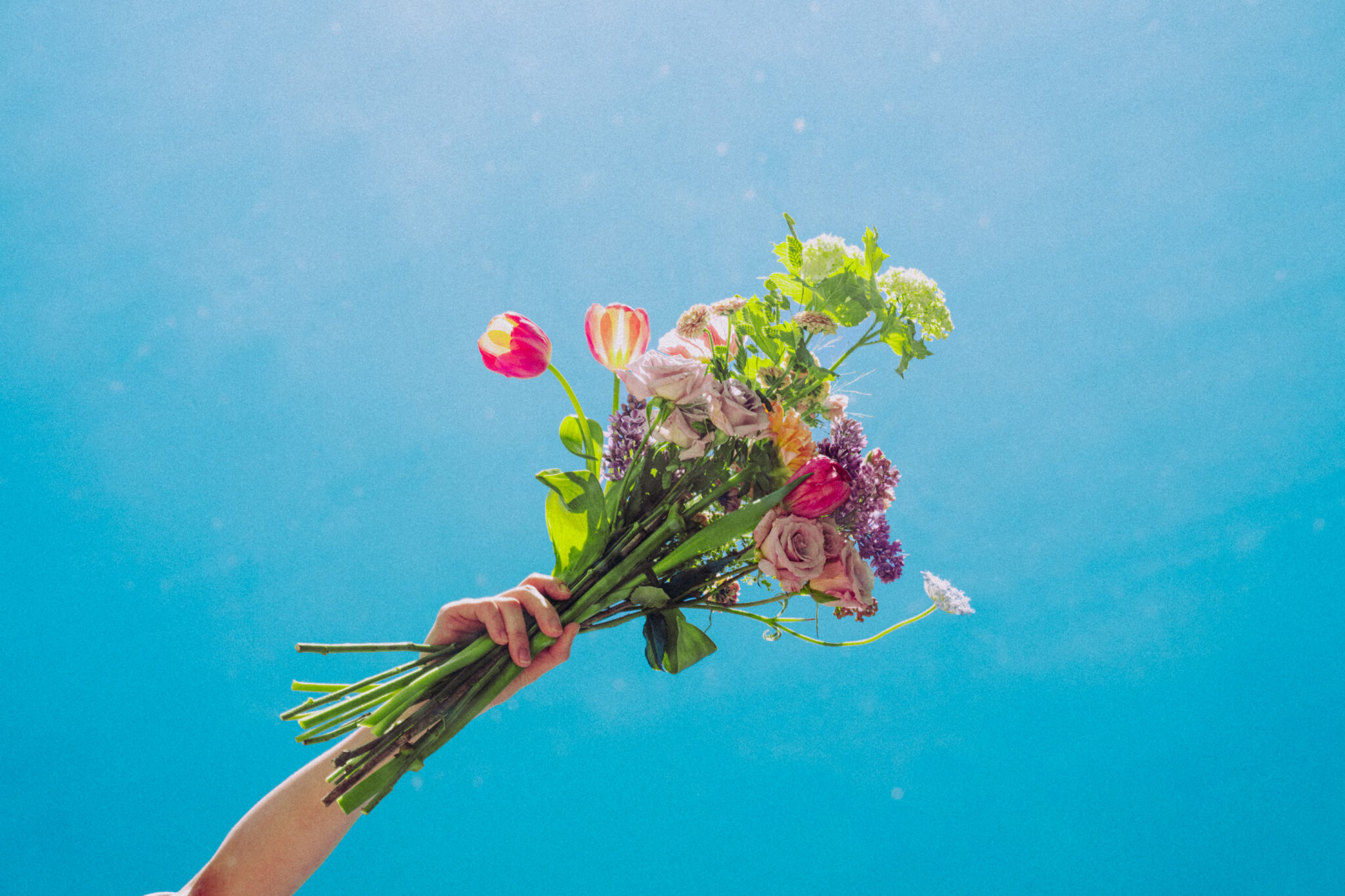 And Some Flower Cafe Locations | Regina